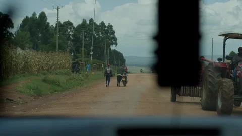 Busy Hut Stock Videos – Royalty-Free HD & 4K Videos