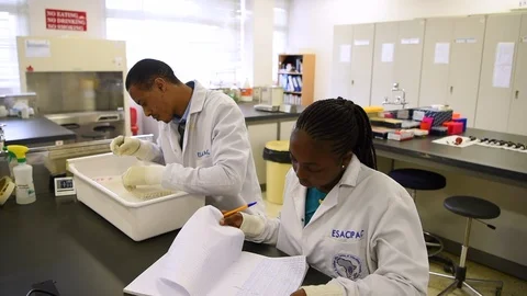 Record Bood Stock Videos – Royalty-Free HD & 4K Videos