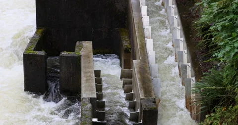 Ketchikan Alaska city creek fish ladder ... | Stock Video | Pond5