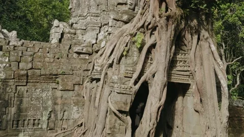 The Khmer temple of Ta Som - Tree growin... | Stock Video | Pond5