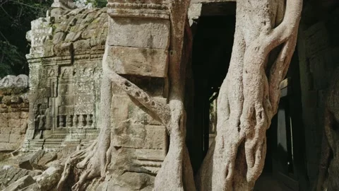 The Khmer temple of Ta Som - Tree growin... | Stock Video | Pond5