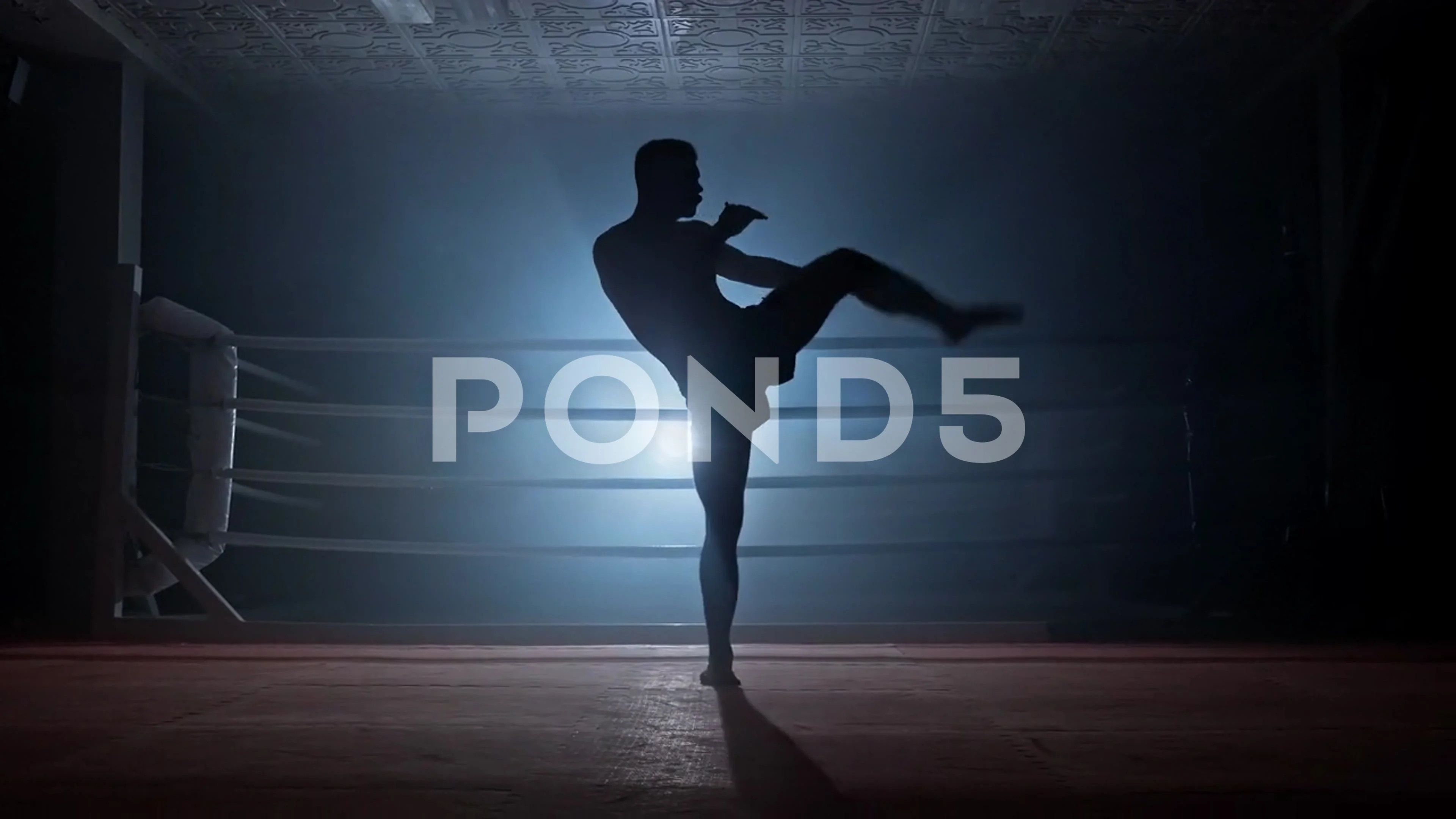 Shadow Boxing Wallpapers