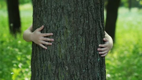 Kid Hugging Tree Stock Footage ~ Royalty Free Stock Videos | Pond5