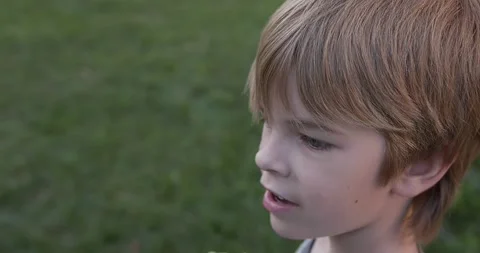 Kid Boy Pluck Plums on Fruit Tree in Bac... | Stock Video | Pond5