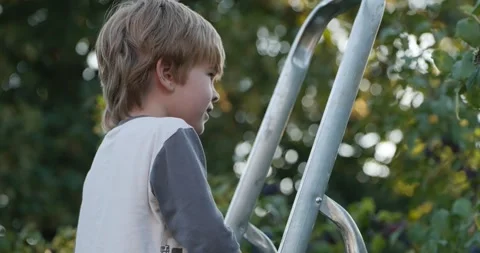 Kid Boy Pluck Plums on Fruit Tree in Bac... | Stock Video | Pond5
