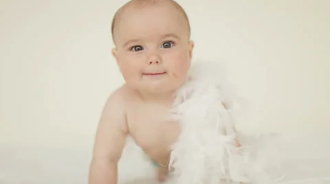 @ Forward Feather Stock Videos – Royalty-Free HD & 4K Videos | Pond5