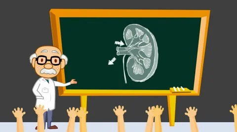 Kidney Cartoon Stock Videos – Royalty-Free HD & 4K Videos
