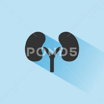 Kidneys icon with shade on blue background: Royalty Free #108721434