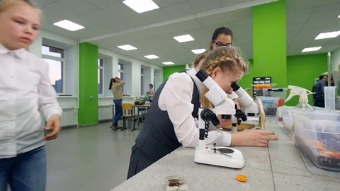 Kids in biology class learning about ins... | Stock Video | Pond5