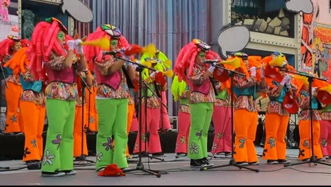 Kazoo Stock Video Footage | Royalty Free Kazoo Videos | Pond5