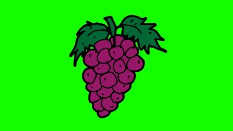 Grapes Drawing Stock Video Footage | Royalty Free Grapes Drawing Videos ...