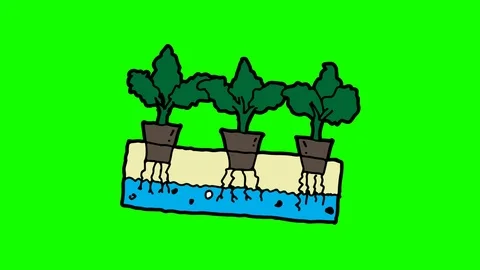 Green Screen Kids Stock Footage ~ Royalty Free Stock Videos | Pond5