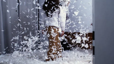 Pillow Fight Feathers Stock Videos – Royalty-Free HD & 4K Videos