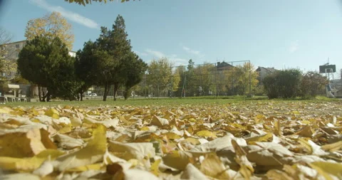 H Playground Gaming Stock Videos – Royalty-Free HD & 4K Videos