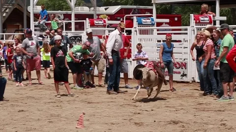 Kid Rodeo Stock Videos – Royalty-Free HD & 4K Videos | Pond5