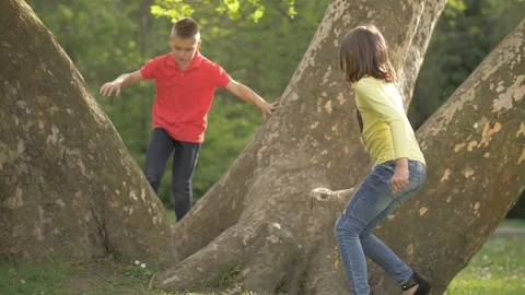 Running Around Tree Stock Footage ~ Royalty Free Stock Videos | Pond5