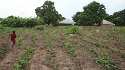 Farm Kids Stock Video Footage | Royalty Free Farm Kids Videos | Pond5