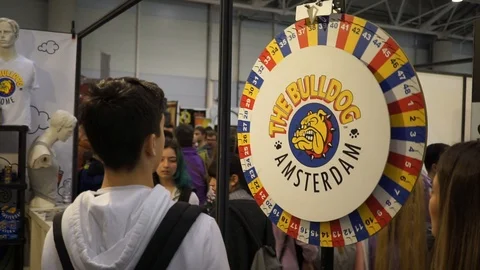 Prize Wheel Stock Video Footage | Royalty Free Prize Wheel Videos | Pond5