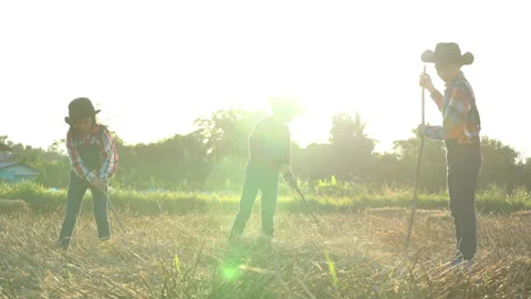 Kids working in rice field of organic fa... | Stock Video | Pond5