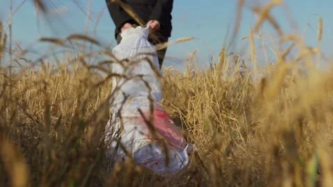 Killer dragging dead body through wheat ... | Stock Video | Pond5