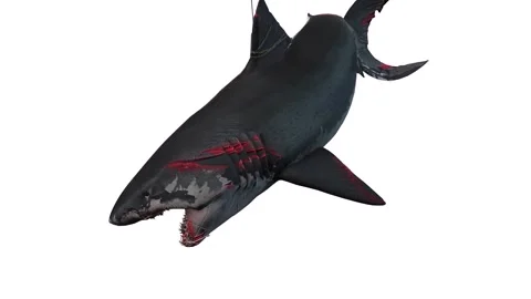 A killer Shark angry scene 3D rendering ... | Stock Video | Pond5
