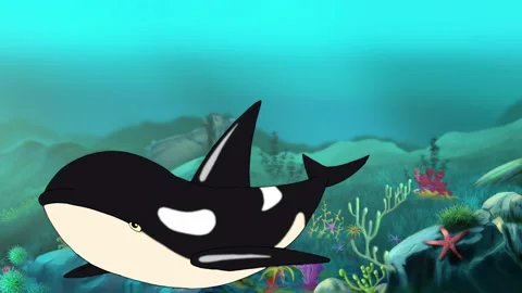 Killer whale underwater 4K animation | Stock Video | Pond5