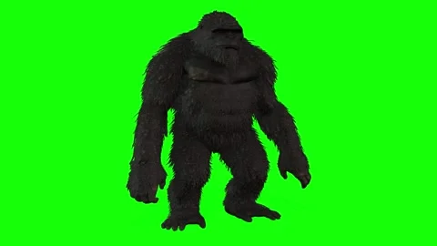 King Kong Green Screen Stock Video Footage | Royalty Free King Kong ...