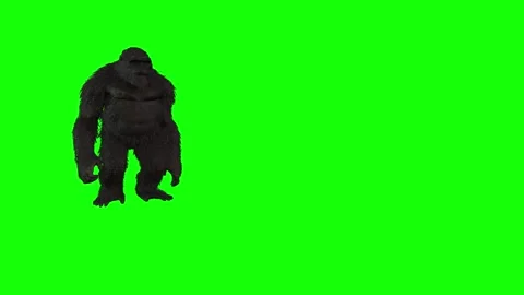 King Kong Green Screen Stock Video Footage | Royalty Free King Kong ...