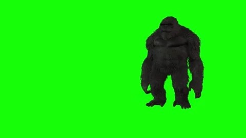 King Kong Green Screen Stock Video Footage | Royalty Free King Kong ...