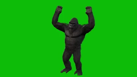 King Kong Green Screen Stock Video Footage | Royalty Free King Kong ...