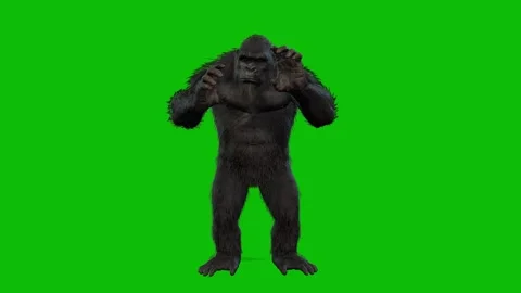 King Kong Green Screen Stock Video Footage | Royalty Free King Kong ...