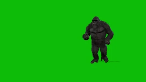 King Kong Green Screen Stock Video Footage | Royalty Free King Kong ...