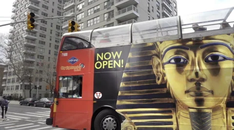 Manking Of King Stock Videos – Royalty-Free HD & 4K Videos | Pond5