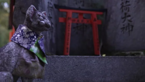 Kitsune Fox Message from God - Fushimi I... | Stock Video | Pond5