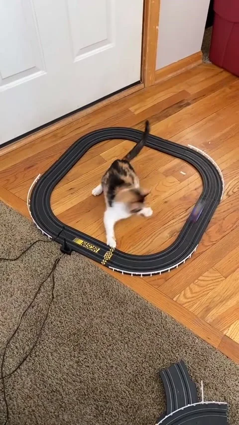 Mom Catches So Stock Videos – Royalty-Free HD & 4K Videos | Pond5