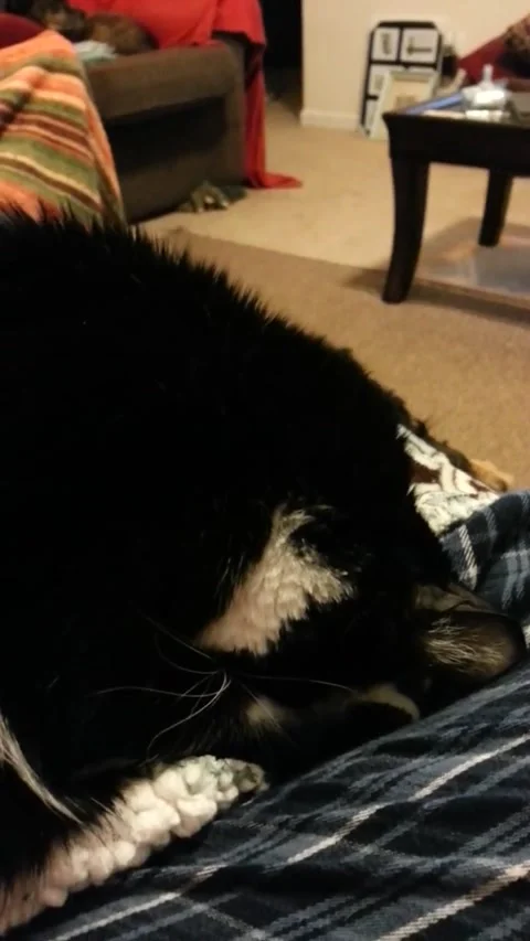 1970 Clock Stock Videos – Royalty-Free HD & 4K Videos