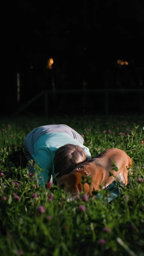 Whited Nighttime Stock Videos – Royalty-Free HD & 4K Videos | Pond5