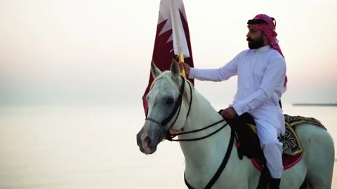 Qatar Horse Stock Video Footage | Royalty Free Qatar Horse Videos | Pond5