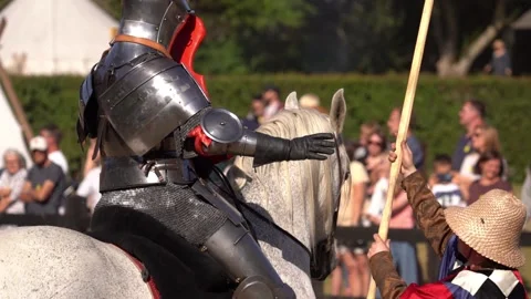 Medieval Horse Stock Footage ~ Royalty Free Stock Videos | Pond5