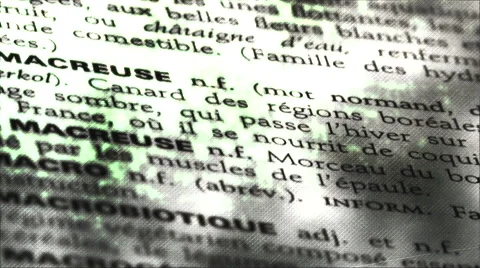 Picture Pages Stock Videos – Royalty-Free HD & 4K Videos