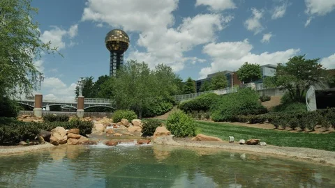 Beautification Day Stock Videos – Royalty-Free HD & 4K Videos | Pond5