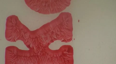 It Logo Movie Stock Videos – Royalty-Free HD & 4K Videos | Pond5