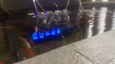 koi fish pond side view with beautiful b... | Stock Video | Pond5