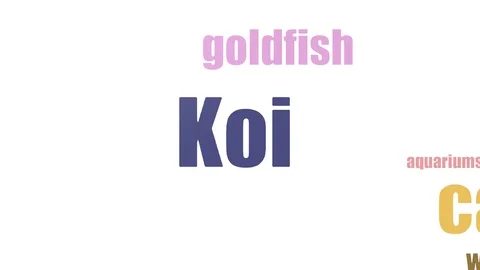 Koi Isolated Stock Videos – Royalty-Free HD & 4K Videos | Pond5