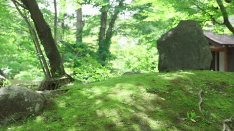 Koji Castle Missing Garden Moss | Stock Video | Pond5