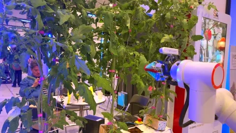 Scan November Stock Videos – Royalty-Free HD & 4K Videos