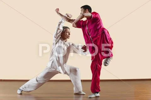 Kung Fu, Changquan, Duilian, Long Fist Style, Two men doing kung-fu moves ~ Premium Photo #27154259