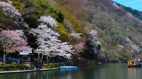Kyoto Spring Stock Video Footage | Royalty Free Kyoto Spring Videos | Pond5