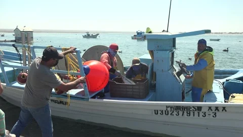 LA BOCANA BCS MEXICO-2022: Fish Catching... | Stock Video | Pond5