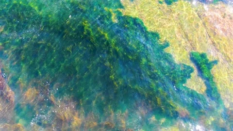 LA BOCANA BCS MEXICO-2022: The Perfect P... | Stock Video | Pond5